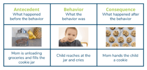 Talk the Talk: What’s the Function? Tangible/Access and Sensory ...