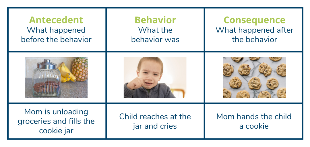 Talk the Talk: What’s the Function? Tangible/Access and Sensory ...